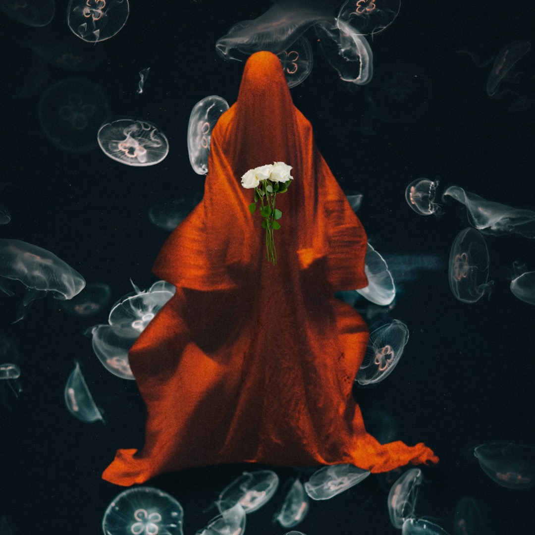 Lovely Lisa – GANG